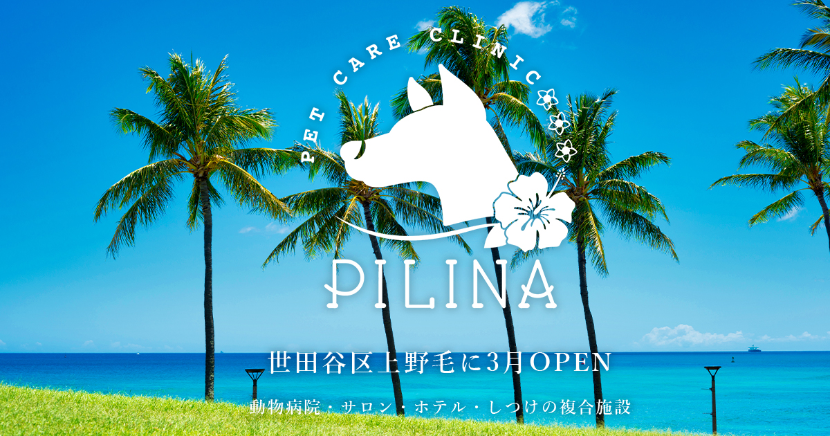 PET CARE CLINIC PILINA（ピリナ）｜各種検査・治療まで質の高い医療を提供